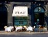 Fiat - Restaurant i København K, København